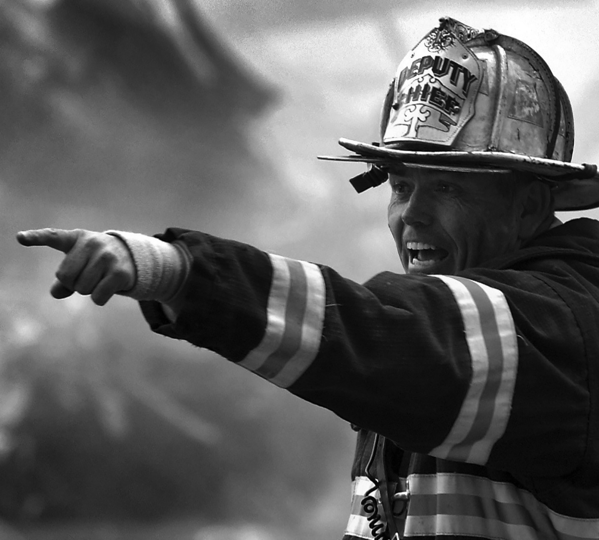 Coverages (ESIP) | McNeil & Co.