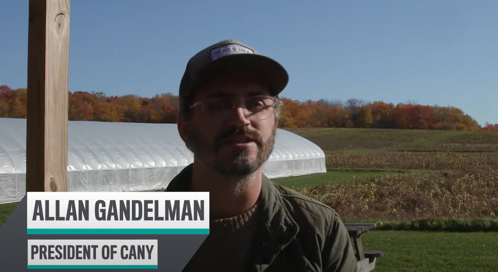 McNeil Cannabis Customer Series: Main Street Farms and New York Hemp ...
