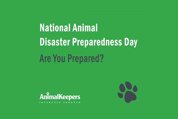 National Animal Disaster Preparedness Day | McNeil & Co.
